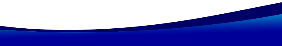 BMP Incorporated Foodcourt Leasing